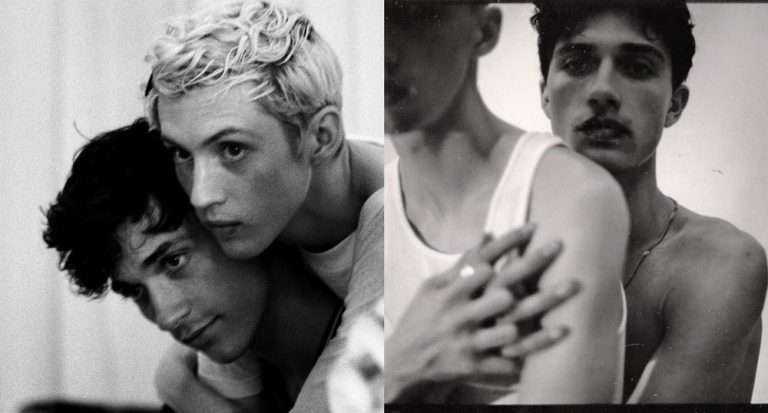 The truth about Troye Sivan's sexuality and his boyfriend - TheNetline