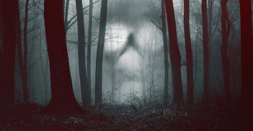 Is 28 Days Haunted real? All you need to know - TheNetline