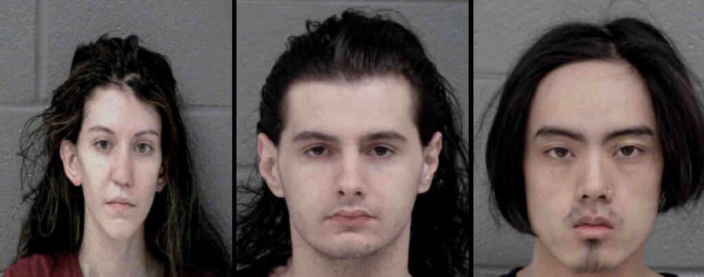 Mary Collins' story — Her tragic murder - TheNetline